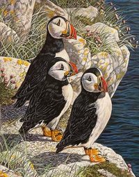 Winter 2021 Exhibition Winners | Arizona Artists Guild