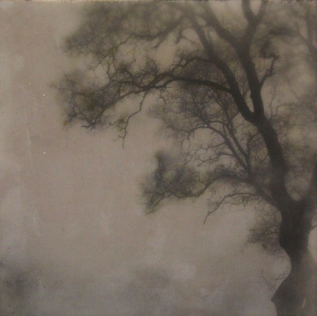 Photo Encaustics taught by Cynthia Dunn-Selph | Arizona Artists Guild